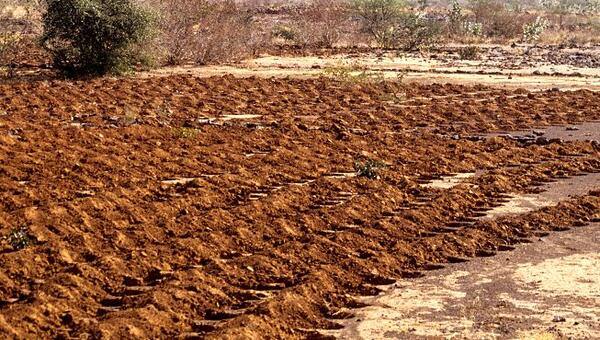 Afrique magazine - Le retour de la méthode zaï